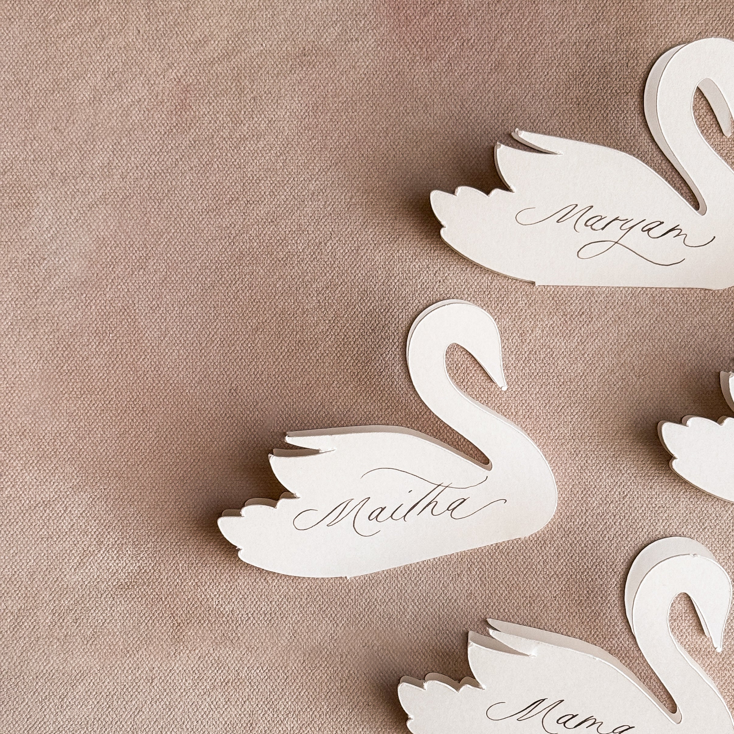 Swan Cards – Wildflower Calligraphy